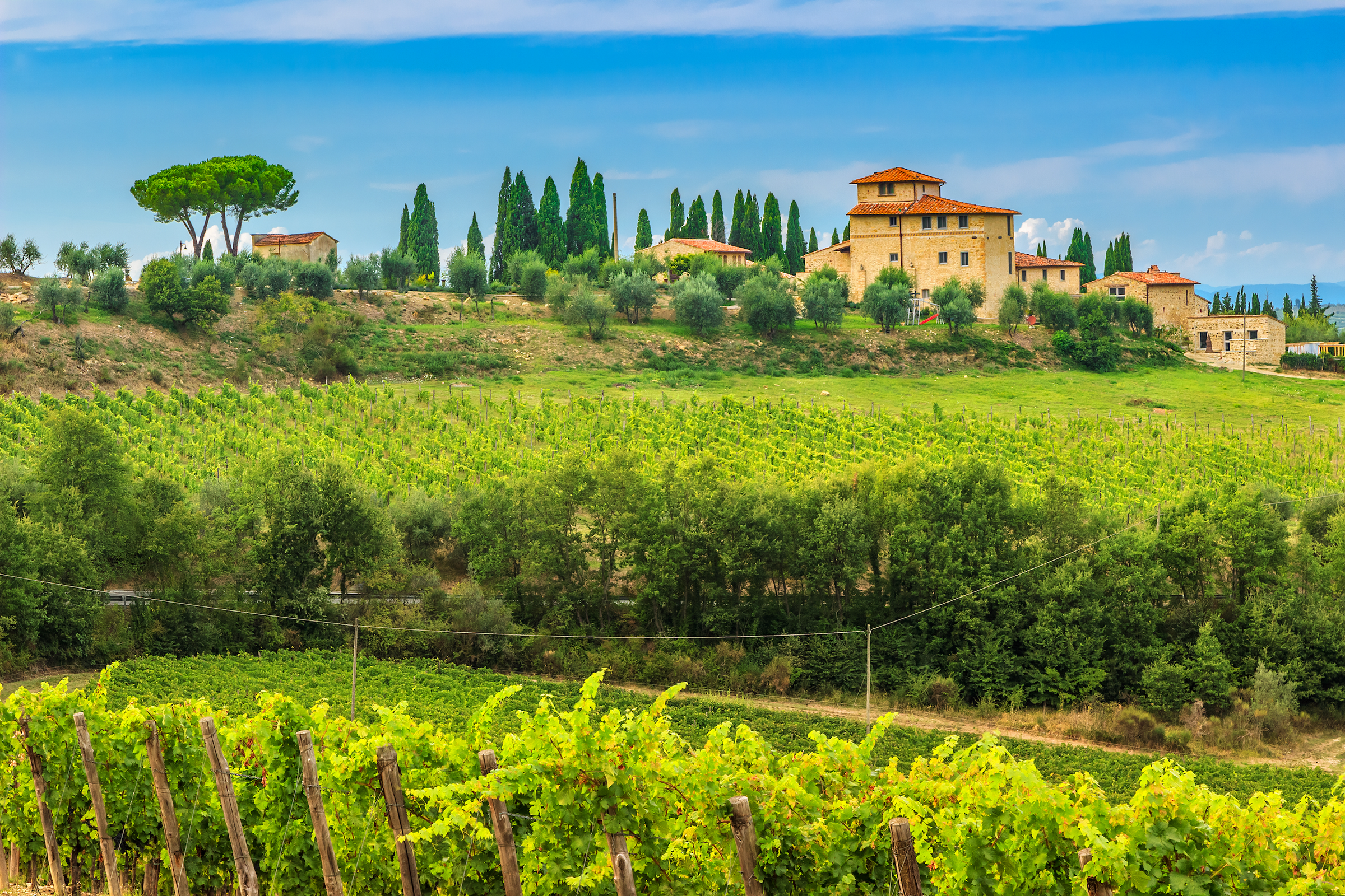 Decoding Chianti Classico: Unlocking the Magic of Tuscany's Best Vinta ...