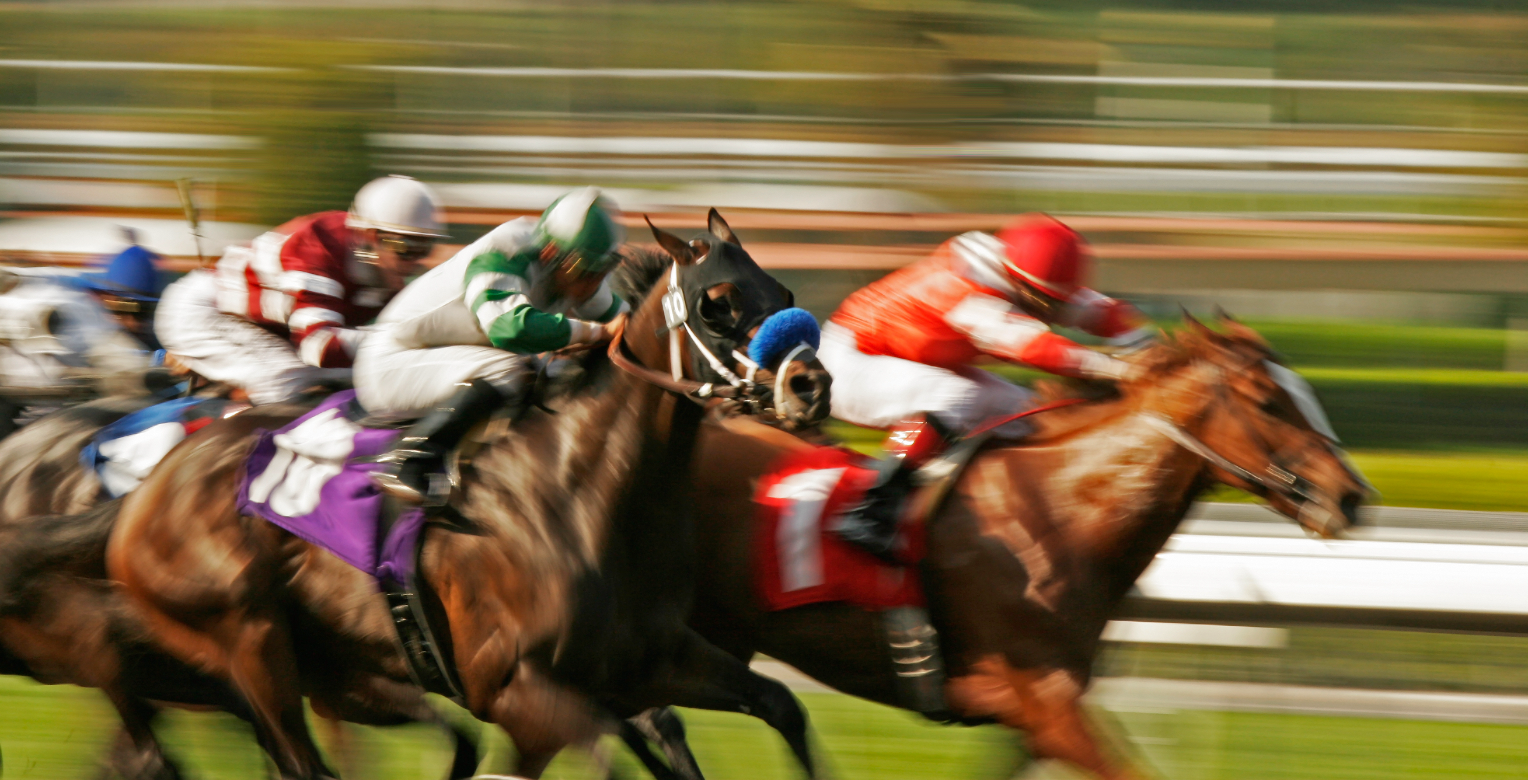 The Kentucky Derby: Where Mint Juleps Flow and Bourbon Dreams Take Fli ...