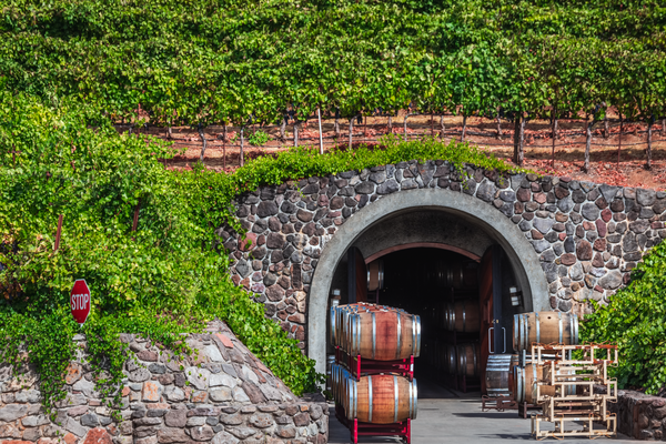 Vintage Comparison: Unlocking the Secrets of Sonoma County's Best Year ...